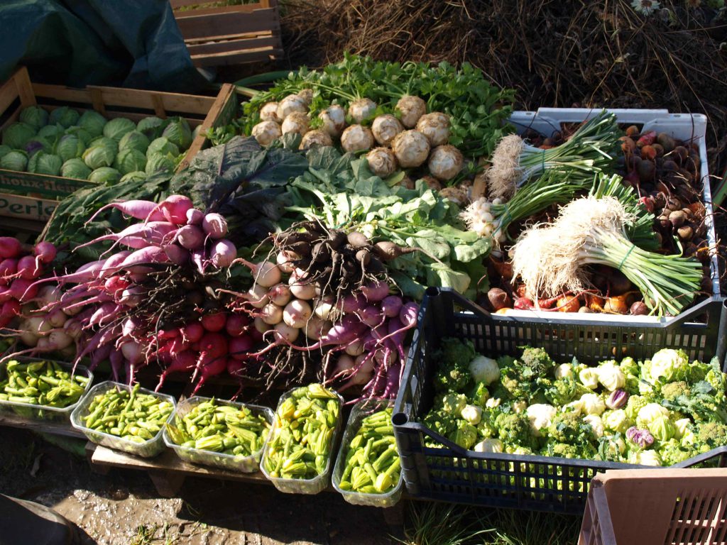 Légumes
