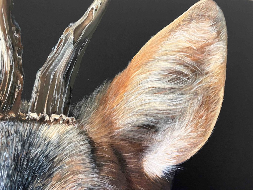 Plume de tout poil, les tableaux d'animaux sur toile de Stéphanie Ellner