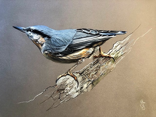 Plume de tout poil, les tableaux d'animaux sur toile de Stéphanie Ellner